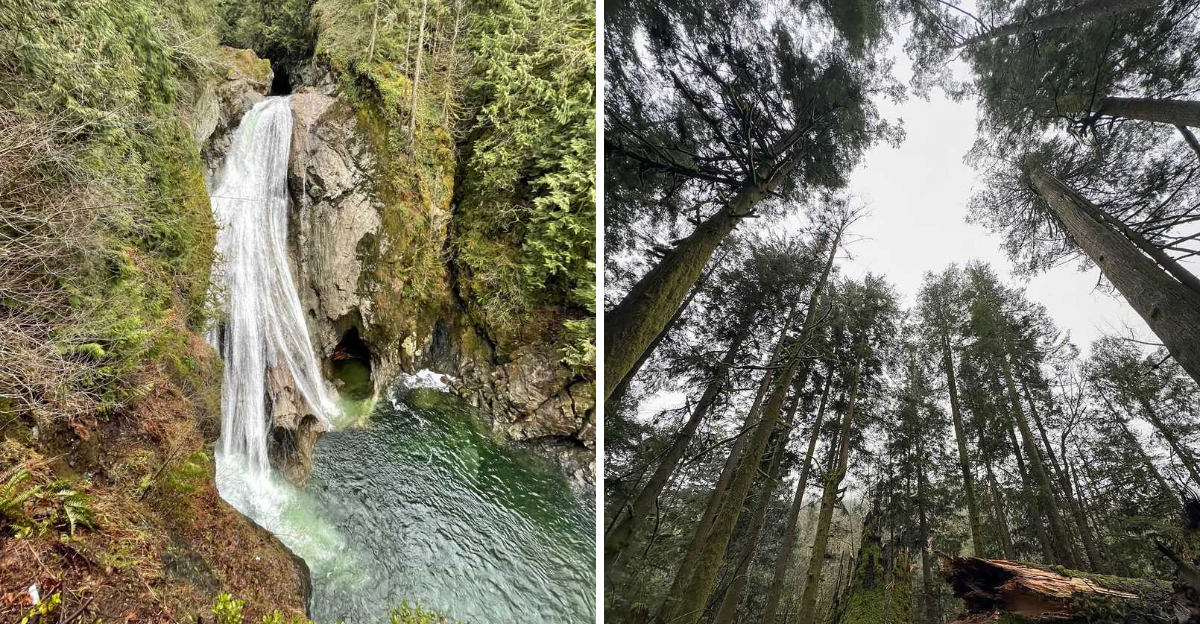 This Washington hike rewards you with some of the state’s most ...