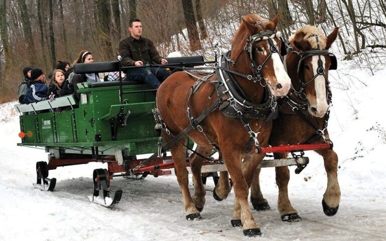 This horse-drawn winter ride captures everything people love about winter