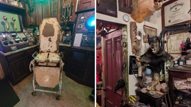 This macabre Pennsylvania museum embraces the strange and that’s the point