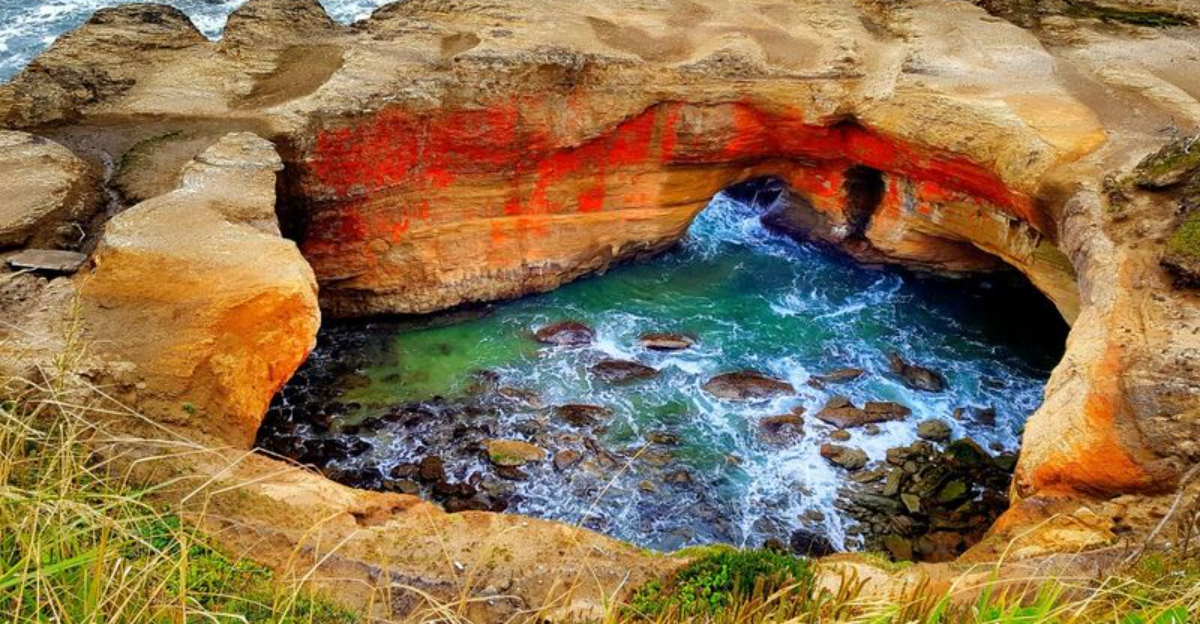 Where to See Blowholes Along the U.S. Coast