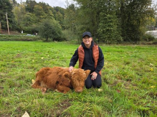 You Can Cuddle the Fluffiest Cows in America at This Little-Known ...