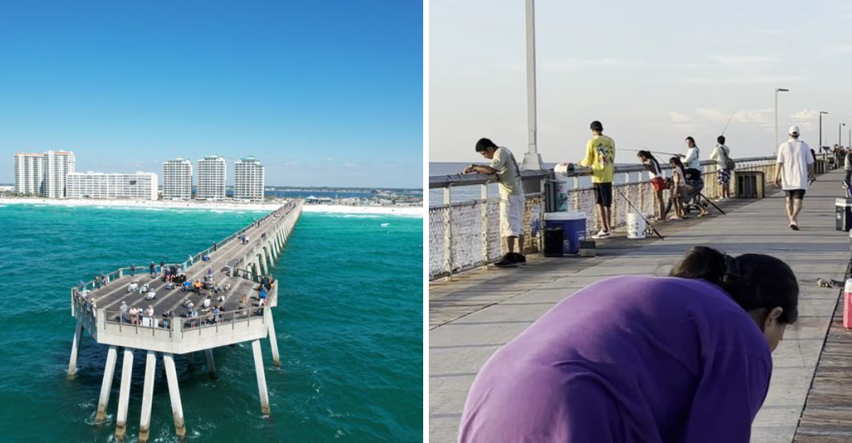 10 fishing piers in Florida where families spend entire mornings ...