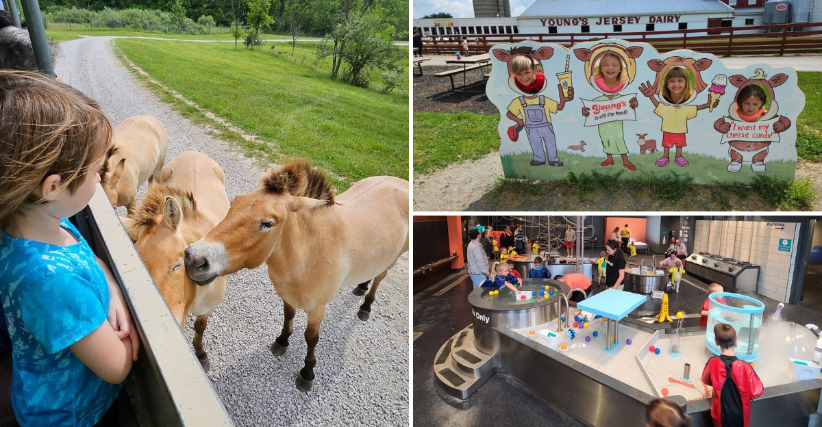 11 Ohio Day Trips That Turn Restless Kids Into Exhausted, Happy Kids