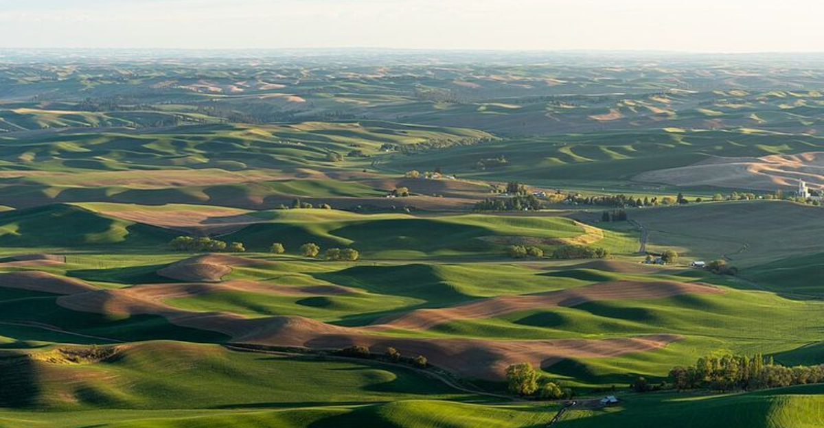 13 Stunning Natural Wonders That Prove Washington Is Full Of Surprises