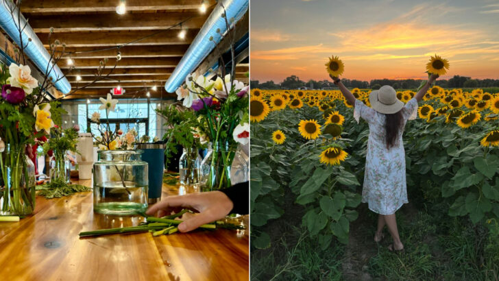 14 flower farms across Michigan that let you wander the rows and snip ...