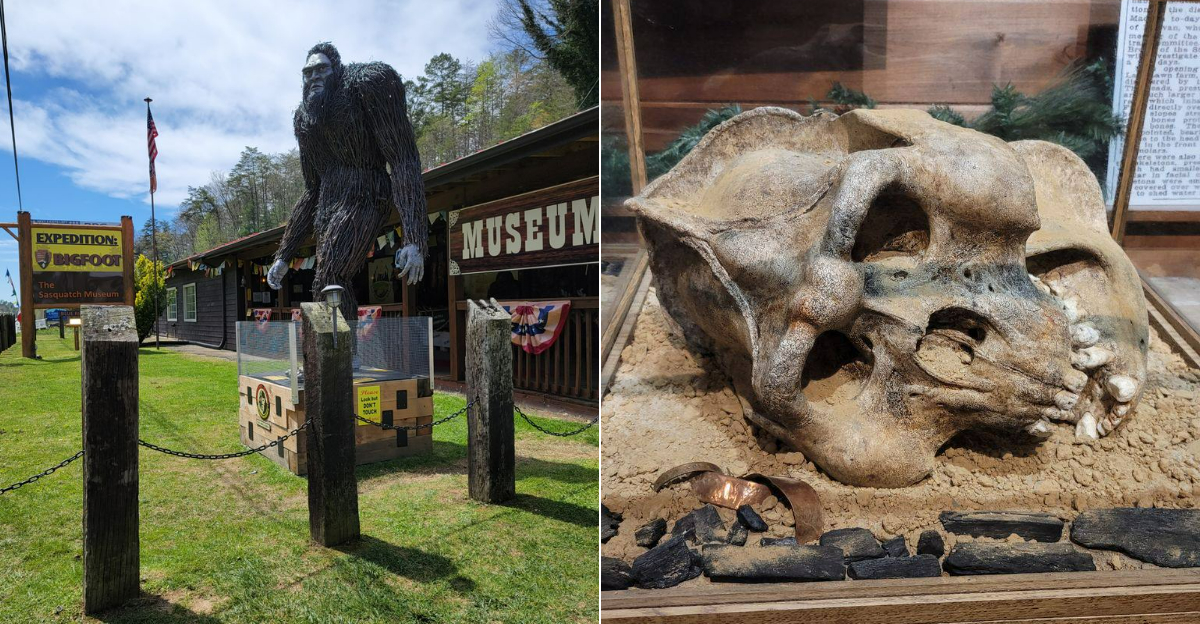 A quirky museum in Georgia claims the world’s largest collection of ...