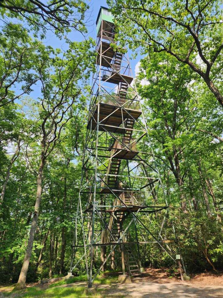 An 8,500-acre Pennsylvania state forest has a fire tower with views ...
