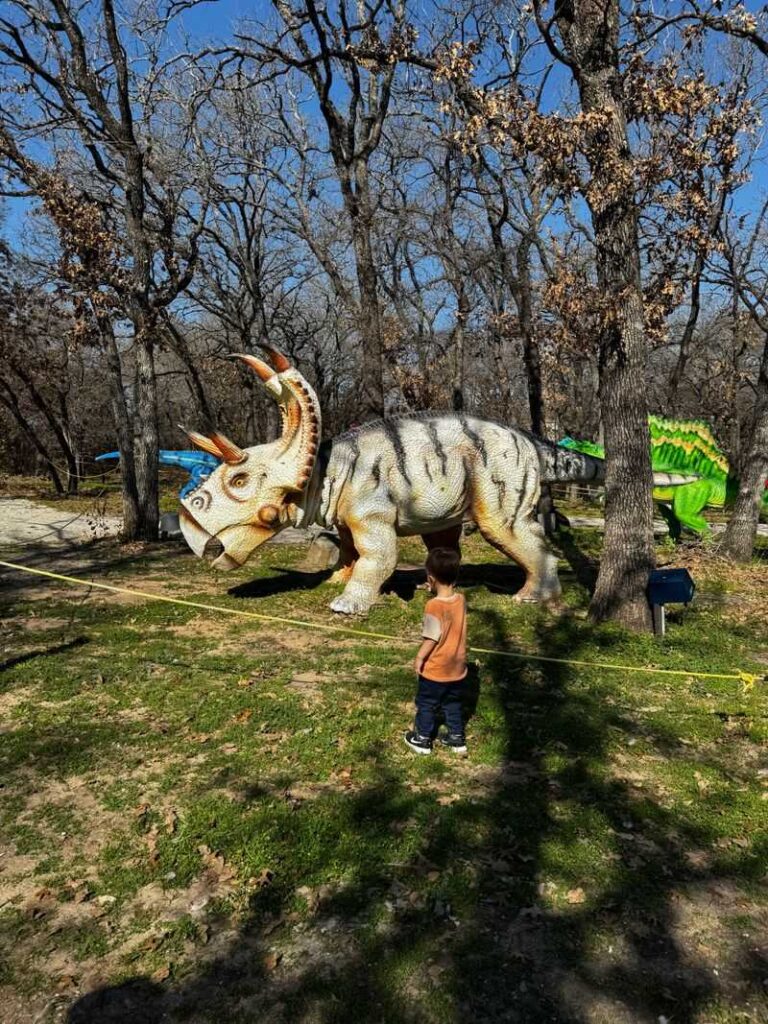 People bring their kids from all over Texas to this interactive ...