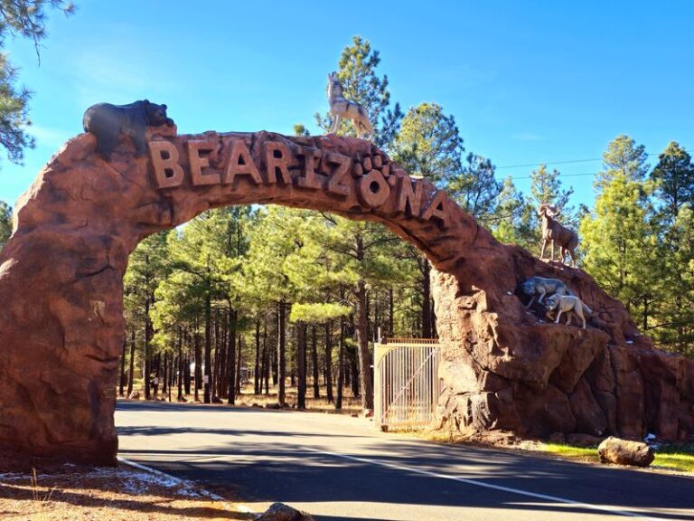 Explore 160 acres of wild animal habitats without leaving your car in ...