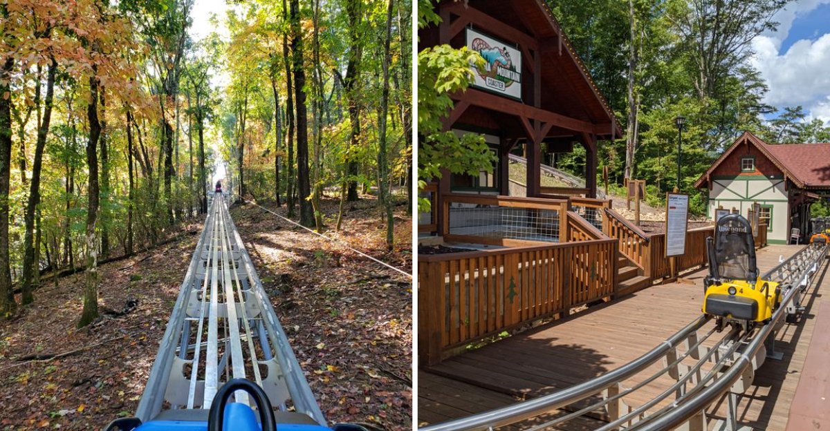 Mountain Views and Speed Come Together at Georgia’s First Alpine Coaster
