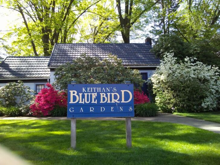 Once just a private rose garden, this Pennsylvania spot now feels like ...