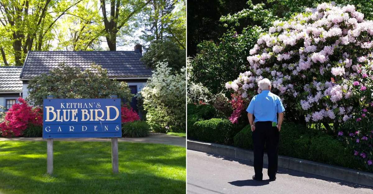 Once just a private rose garden, this Pennsylvania spot now feels like ...