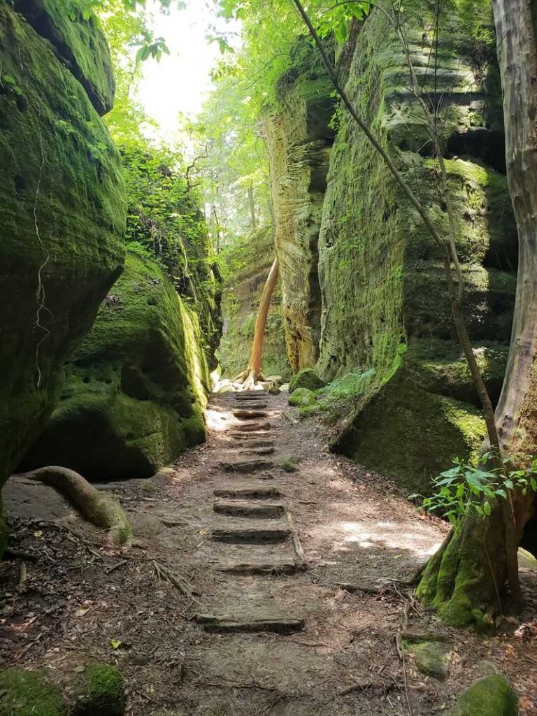 This Alabama Canyon Has Glowing Worms That Light Up The Walls Like A ...