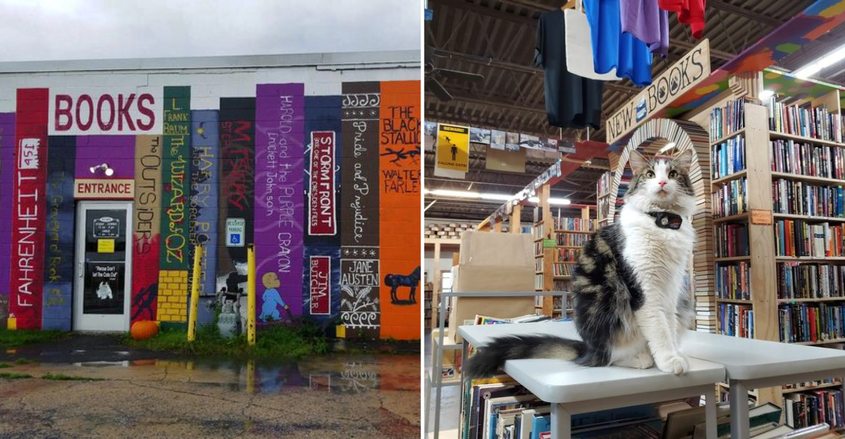The Cat-Loving Bookstore In Pennsylvania That Feels Like A Hidden World ...