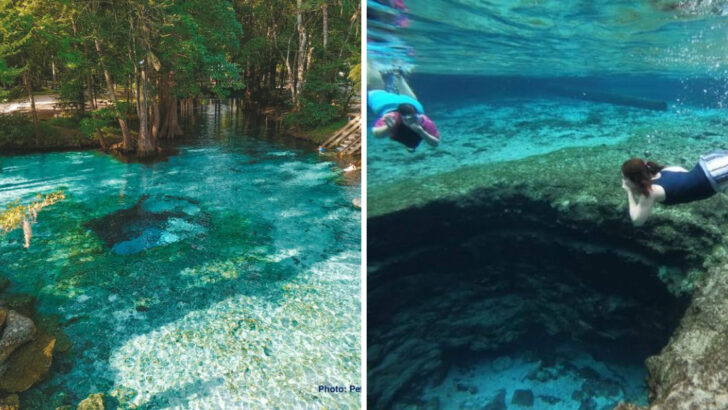 The Florida spring so clear you can see up to 200 feet to the bottom