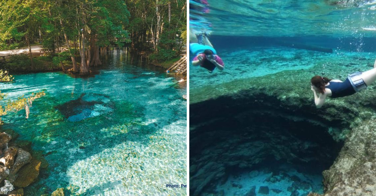 The Florida spring so clear you can see up to 200 feet to the bottom