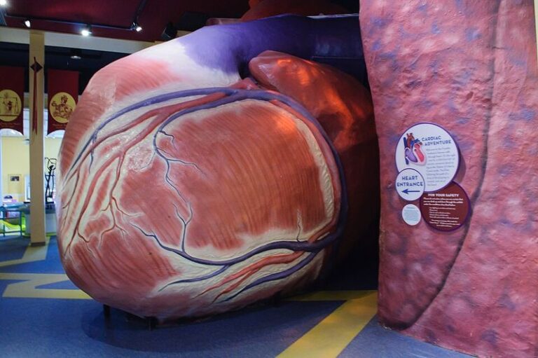 Families Across Pennsylvania Keep Coming Back To This Hands-On Science ...