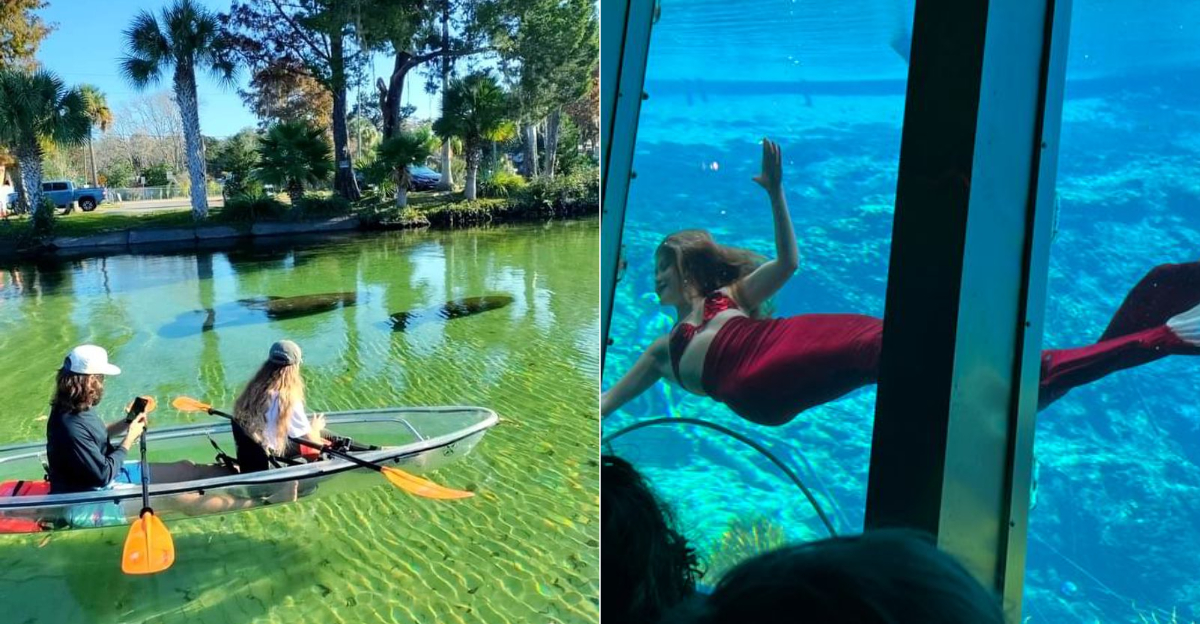 This Florida town has live mermaids performing underwater every day