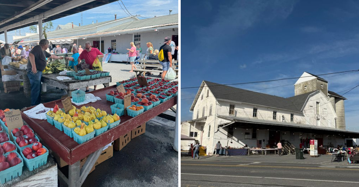 This Pennsylvania Market Has Been Packing in 200 Vendors and Live ...