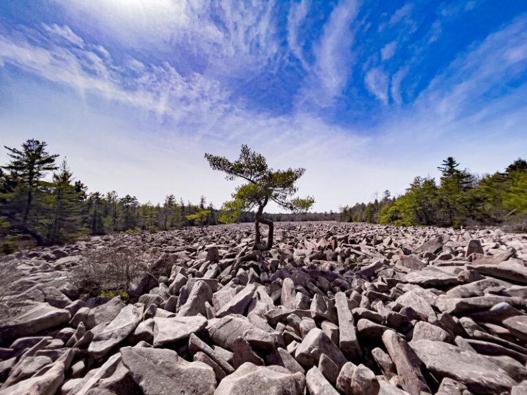 This Pennsylvania Park Has A Boulder Field Where Nothing Grows And No ...