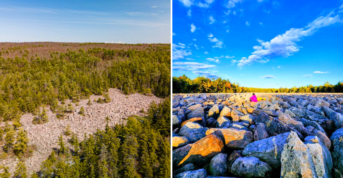This Pennsylvania Park Has A Boulder Field Where Nothing Grows And No ...