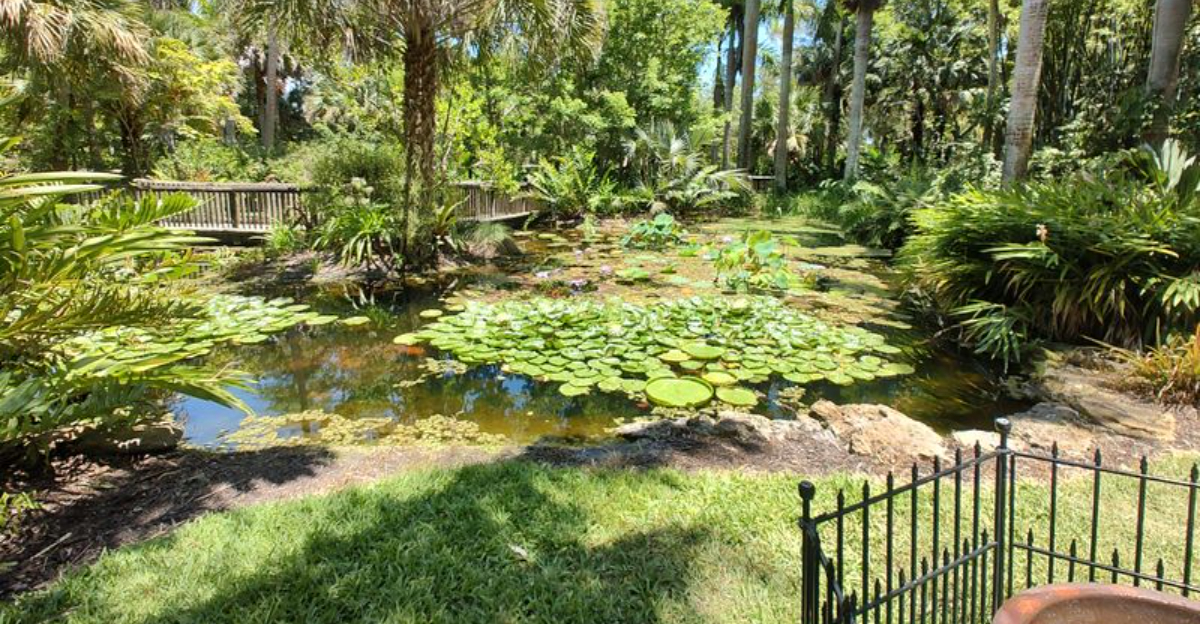 This botanical garden offers a surprisingly immersive walk through ...