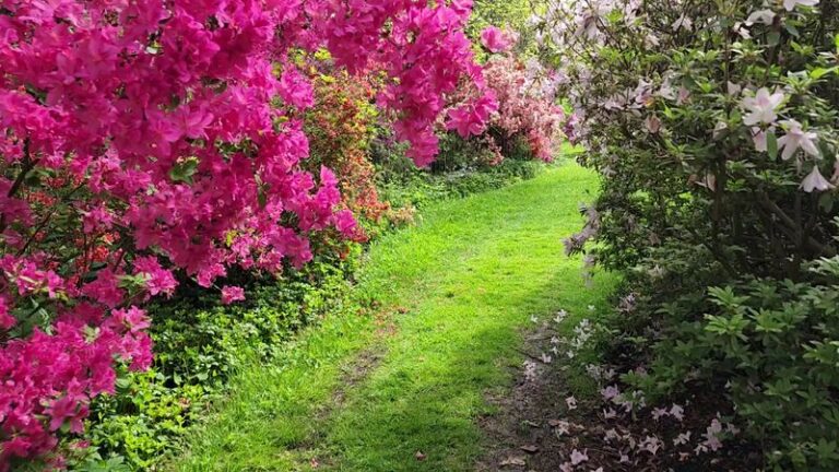 Pennsylvania's Most Beautiful Spots to See Cherry Blossoms and Redbuds ...