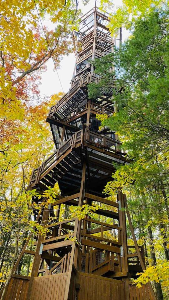 A towering canopy walk in Ohio lets you stroll above the forest across ...