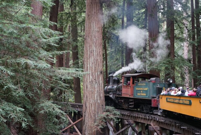 Ride An Open-Air Steam Train Through California's Towering Redwood Forest