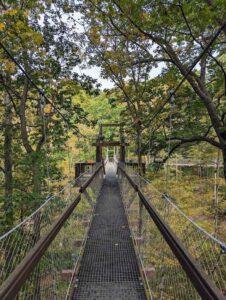 A towering canopy walk in Ohio lets you stroll above the forest across ...