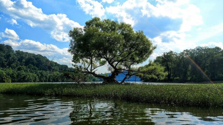 12 Obscure State Parks in Pennsylvania Most People Have Never Heard Of ...