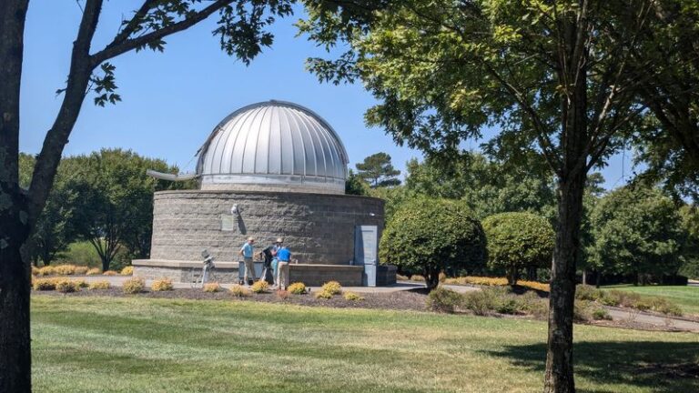 This Massive Georgia Museum Lets You Pan for Gems, Touch Megalodon ...