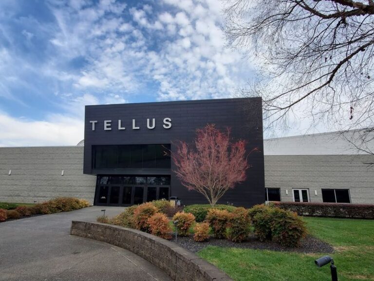 This Massive Georgia Museum Lets You Pan for Gems, Touch Megalodon ...
