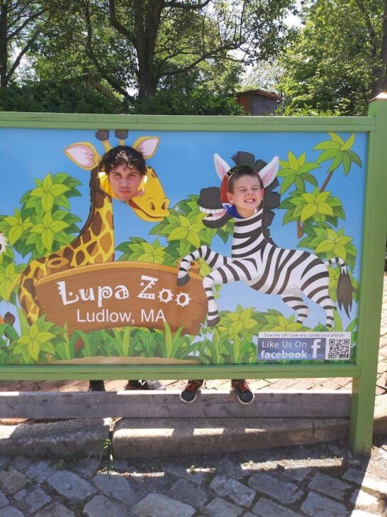 This Quiet Massachusetts Zoo Was Started by Polish Immigrants on Old ...