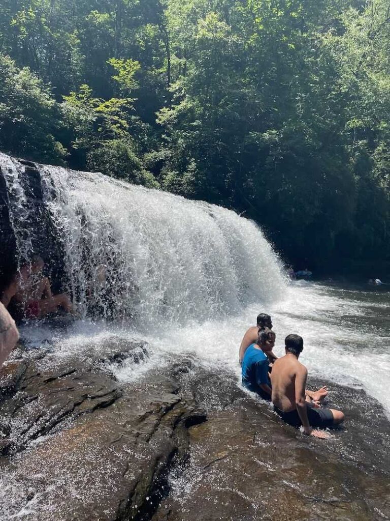 This North Carolina Forest Has Four Waterfalls Within Walking Distance ...