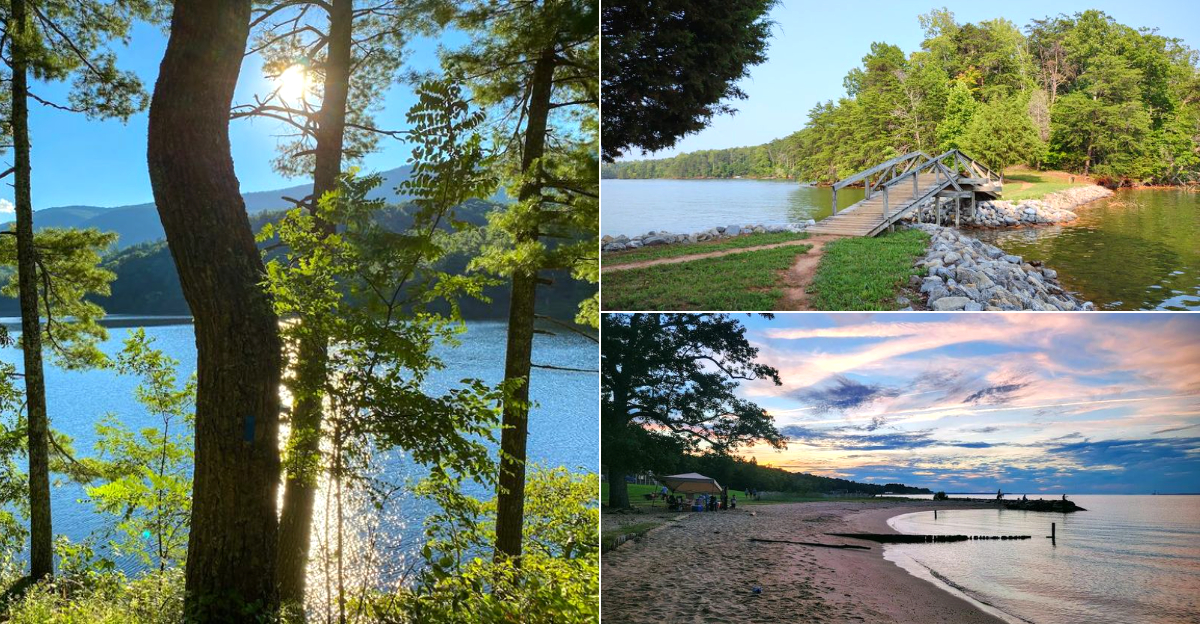 Best Swimming Spots In Virginia For Cooling Off During July