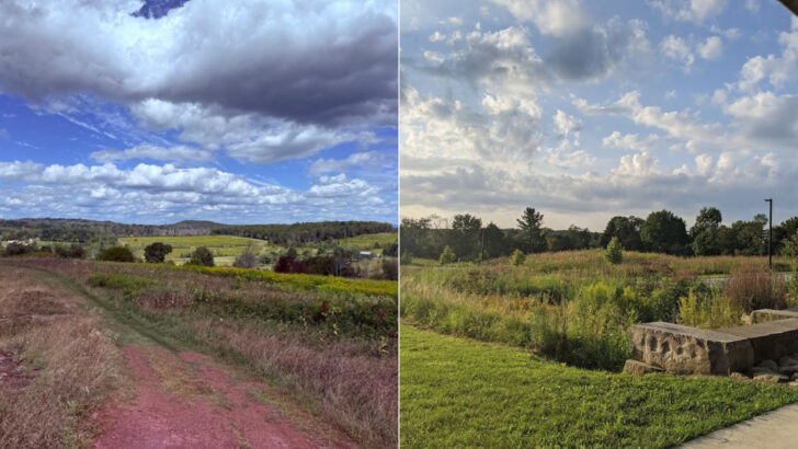 10 Countryside Drives in Ohio Especially Beautiful During Spring Bloom ...