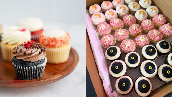 10 North Carolina Cupcake Bakeries Serving Homemade-Style Comfort Desserts