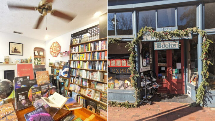 10 North Carolina Hidden Bookstores That Turn Browsing Into A Journey