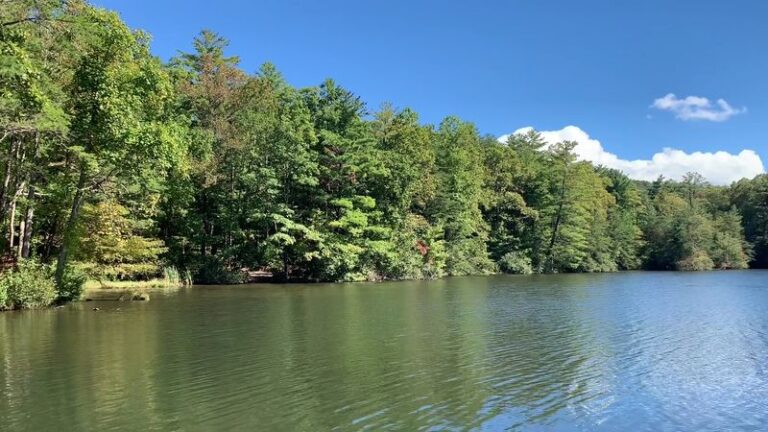 11 Georgia Swimming Holes And Lakes Perfect For A July Adventure