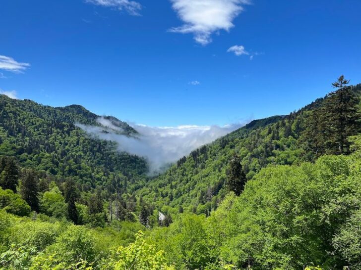 11 North Carolina Natural Attractions Worth Planning A Whole Trip Around