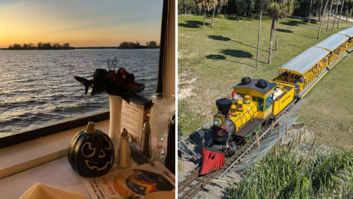 12 Train Rides In Florida Worth Experiencing During Peak Summer Season