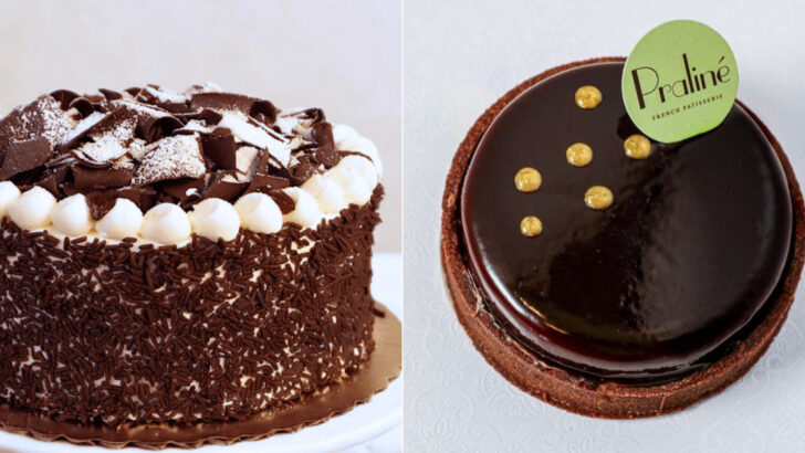 13 Massachusetts Chocolate Cakes That Rival Top European Bakeries