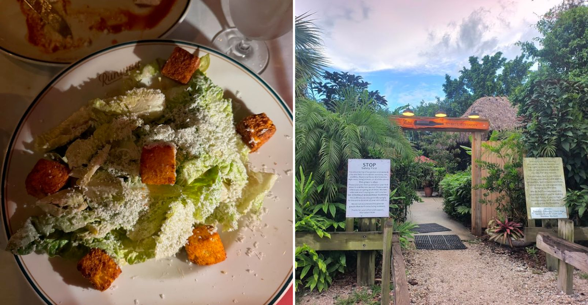 14 Florida Caesar Salad Spots That Pair Perfectly With Summer Dining