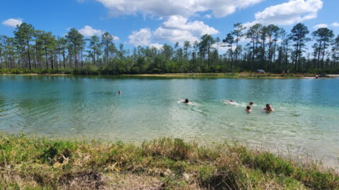14 Florida Parks That Are Bigger And Wilder Than Most People Realize