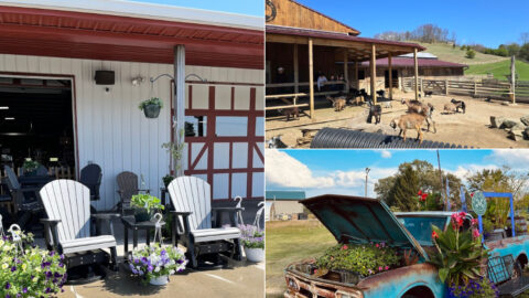 These 11 Ohio Farms Deliver The Kind Of June Weekend You’ll Want To ...