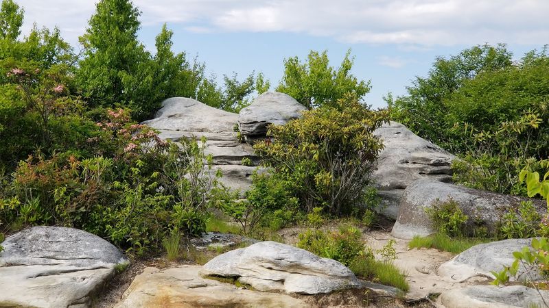 This Virginia Hike Leads To A 400-Million-Year-Old Sandstone Maze ...