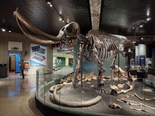 Unexpected Artifacts And Exhibits Define 13 Ohio’s Museum Landscape